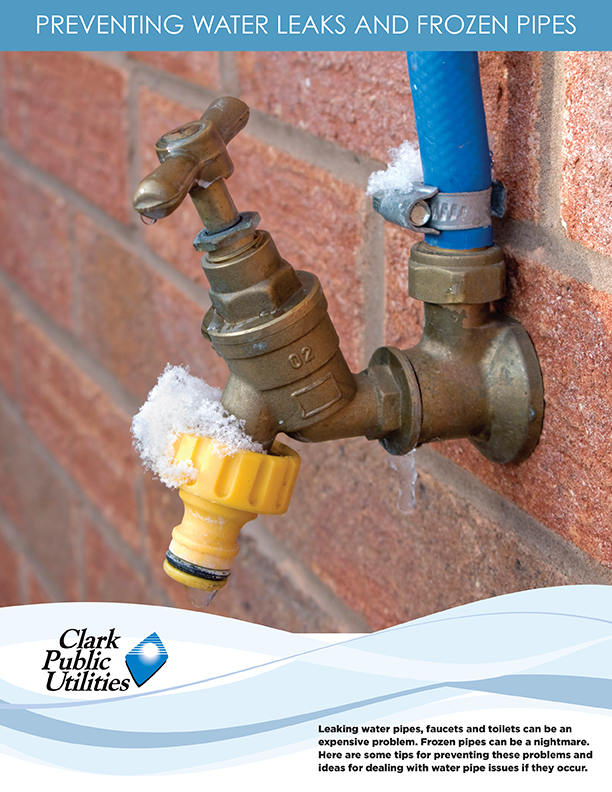 Brochures - Clark Public Utilities