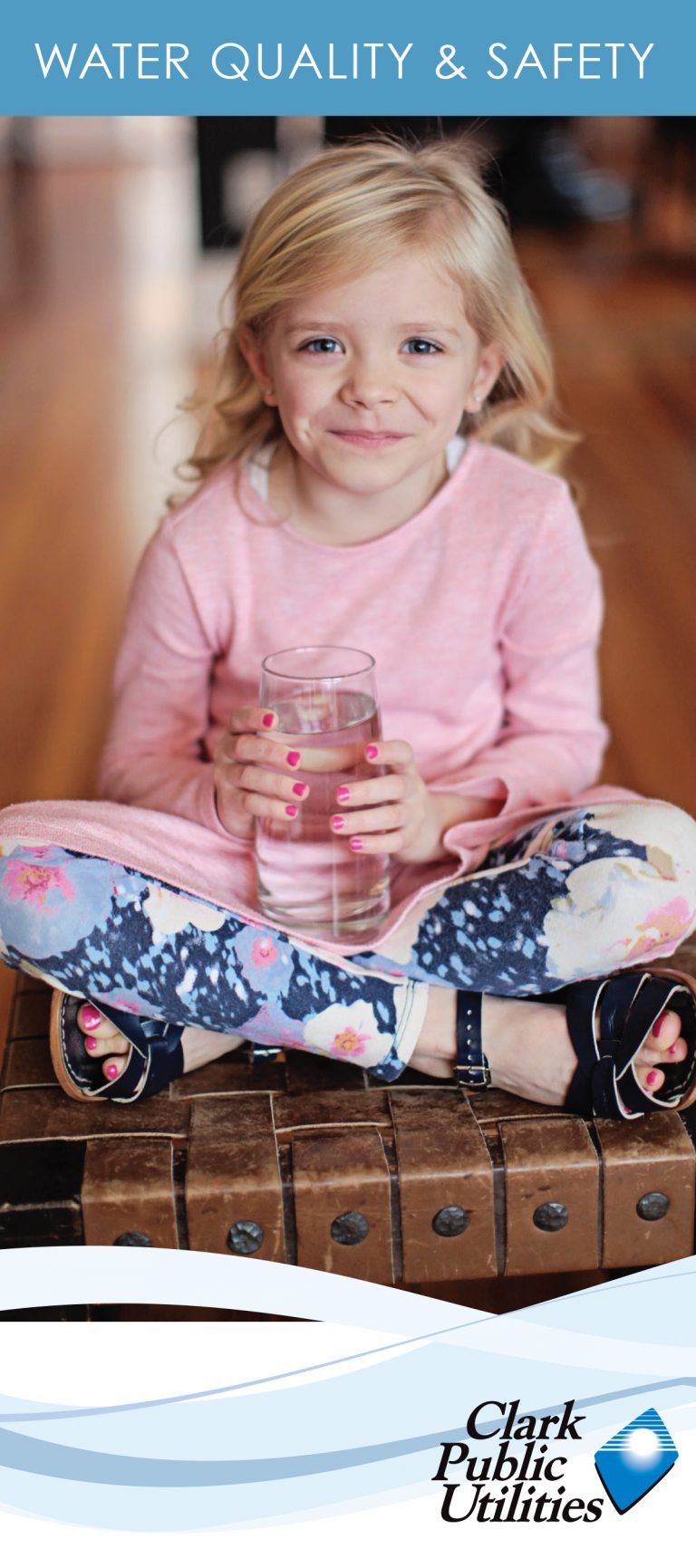 Brochures - Clark Public Utilities